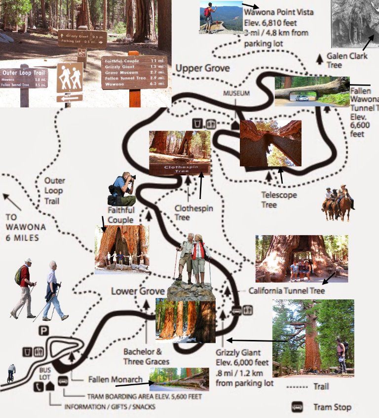 Mariposa Grove Pictures at Kevin Marsh blog